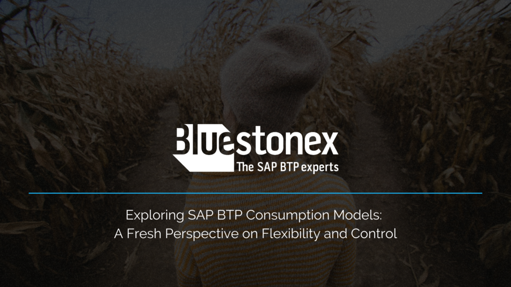 Exploring SAP BTP Consumption Models | Bluestonex