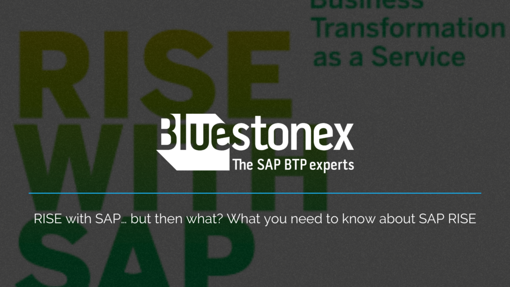 RISE with SAP… but then what? What you need to know about SAP RISE ...