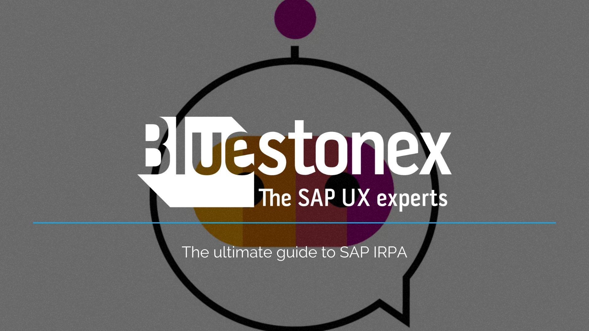 The ultimate guide to SAP IRPA | Bluestonex