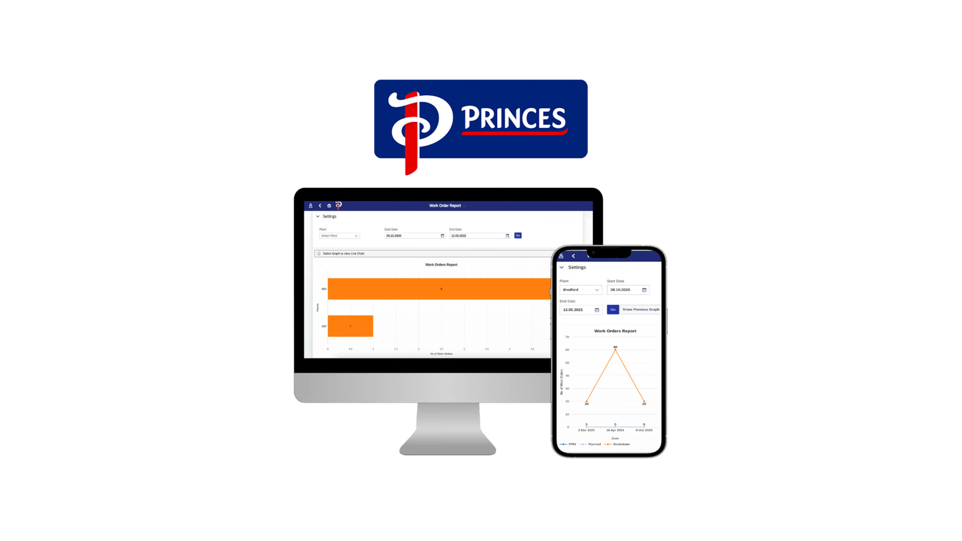Case Study: Developing Custom Fiory Apps for Princes