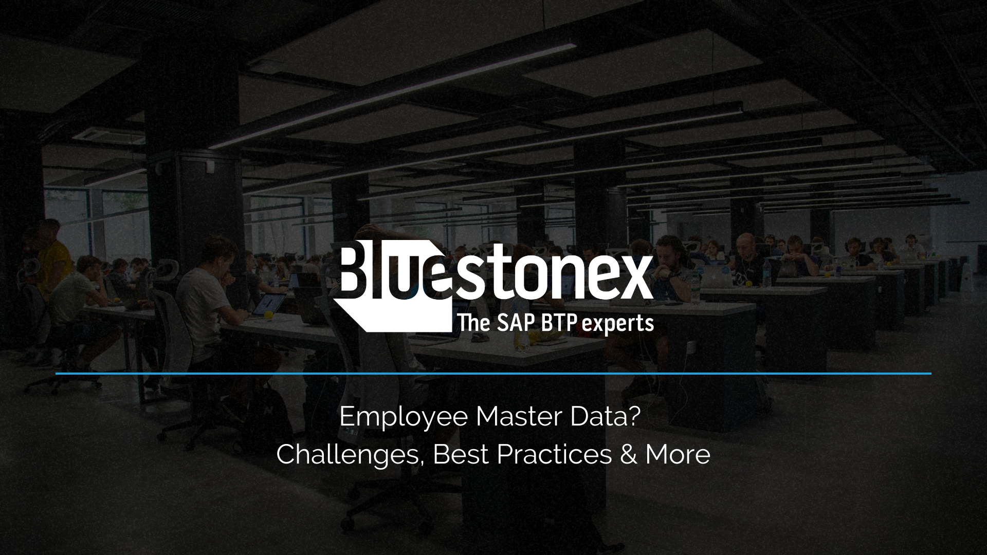 What is Employee Master Data? | Data Object Guide | Bluestonex