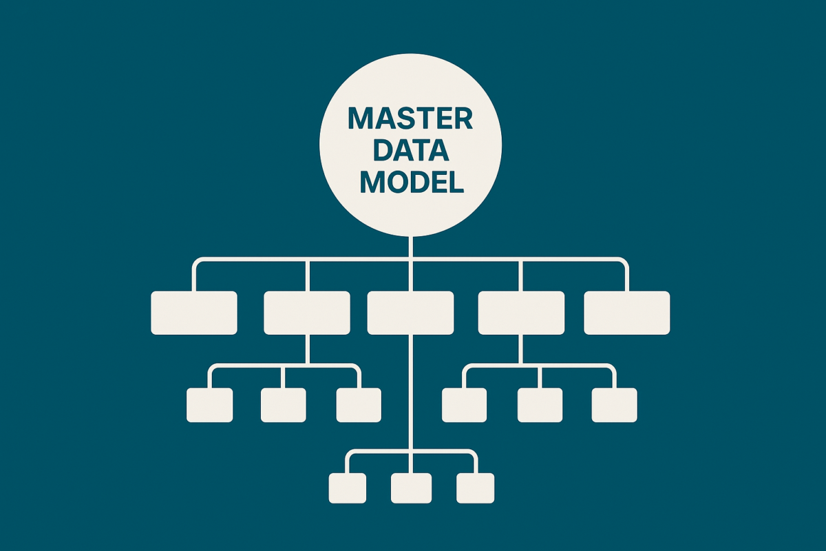 A Complete Guide to Structuring High-Quality Data | Master Data Model | Bluestonex